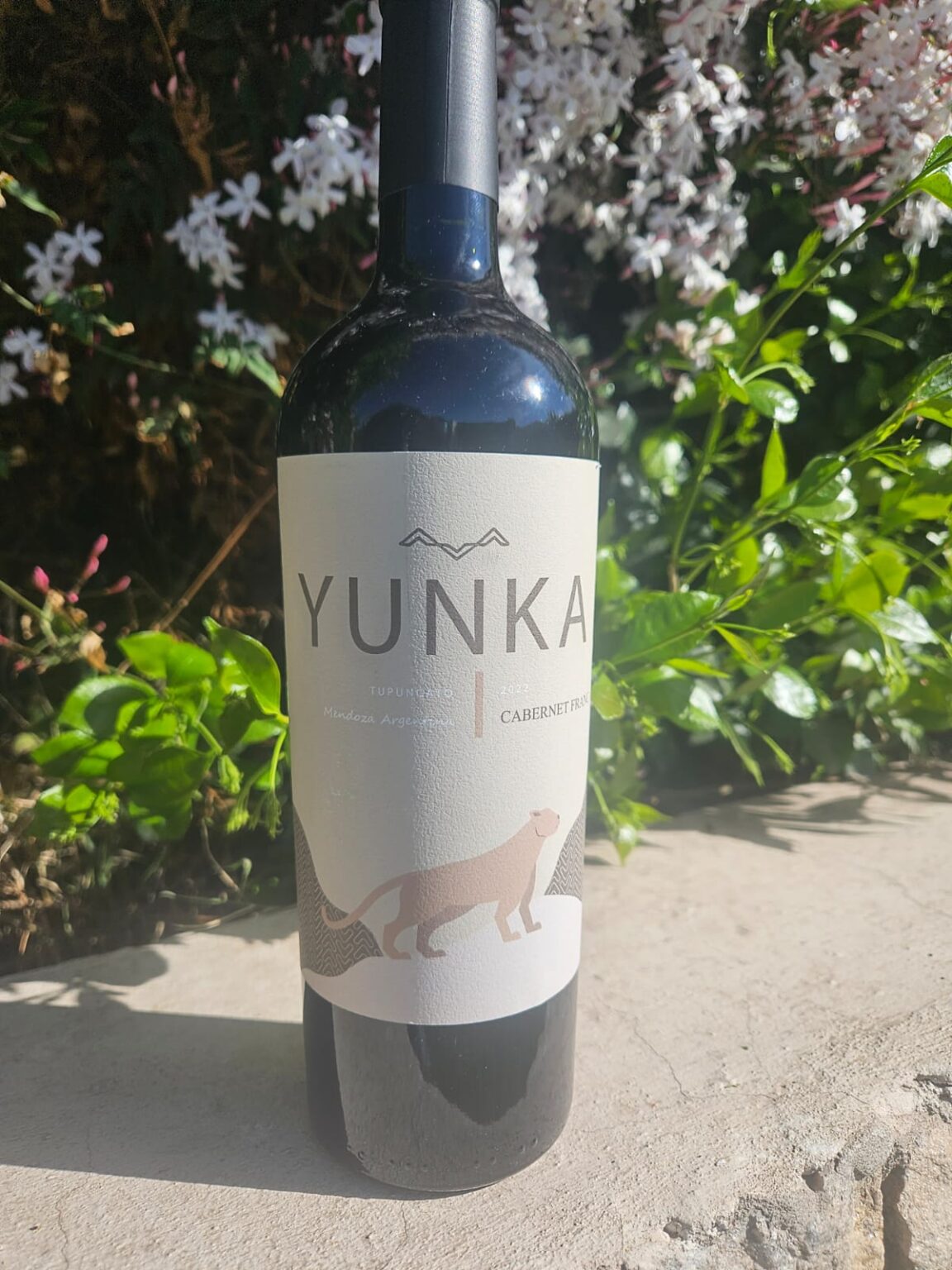 La Logia Enófila | YUNKA RESERVA CABERNET FRANC 2022